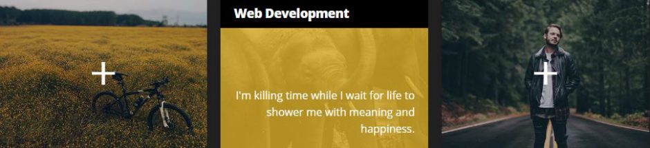 20 Snippets CSS pour créer des animations sur vos images survolées en ...